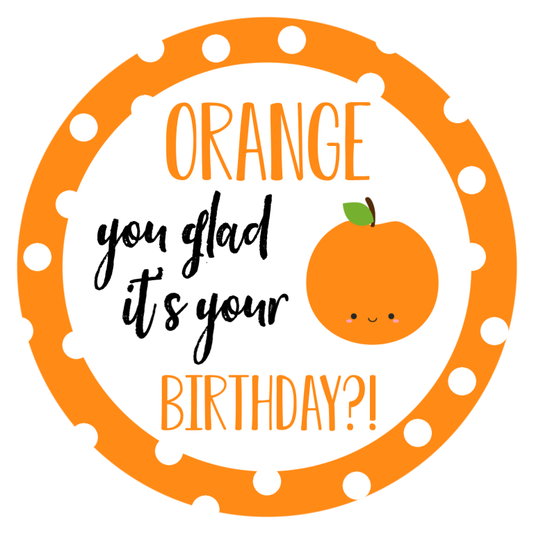 Orange Birthday Gift Idea - Crazy Little Projects